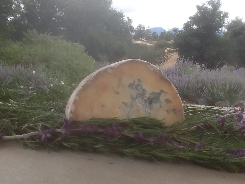 The Best Cheese and Wine in the World : Bridlewood Winery Hosts Mons ...