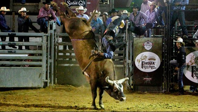 J.B. Mauney's Bushwacker Bails World Champion | HuffPost